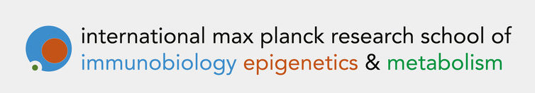 Young Researchers : SFB 1381